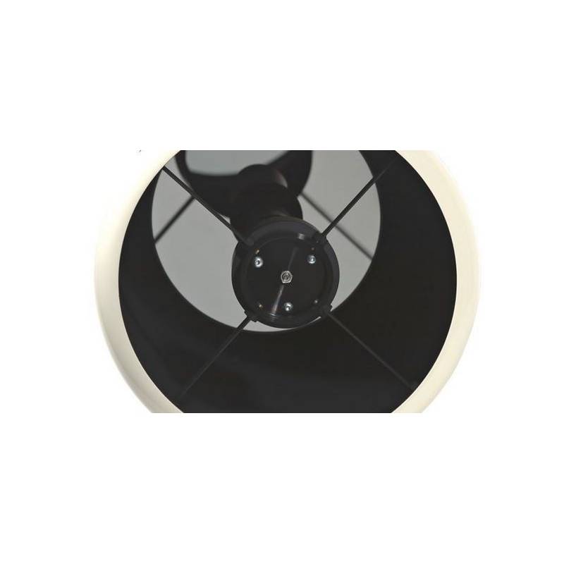 Télescope Takahashi Mewlon-210