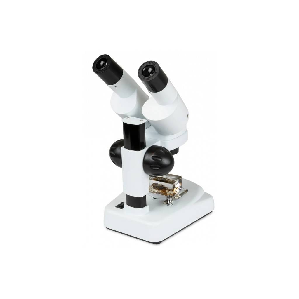 Loupe binoculaire coudée Celestron LABS S20 stéréo