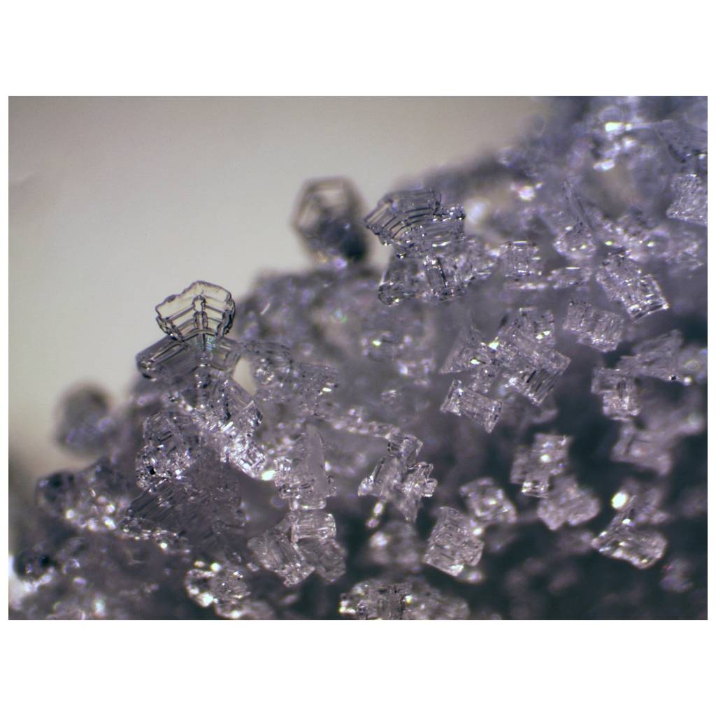 Microscope Bresser Erudit ICD loupe binoculaire (30.5)