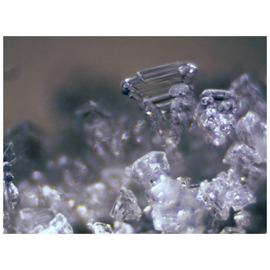 Microscope Bresser Erudit ICD loupe binoculaire (30.5)